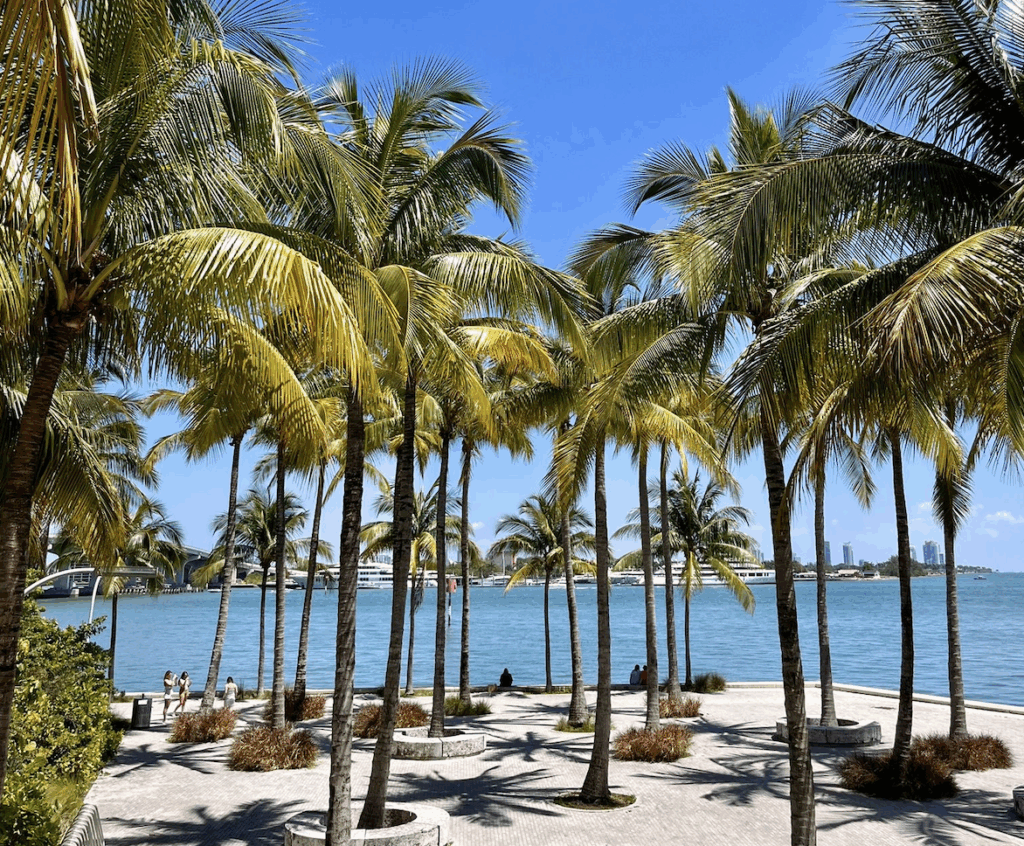 MIAMI - Columbus International